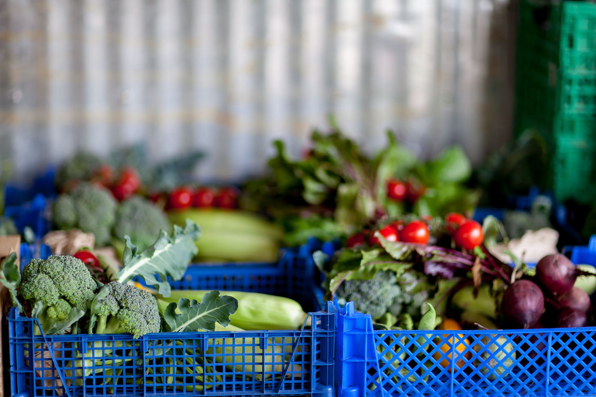 Organic Veg Boxes - Living Larder